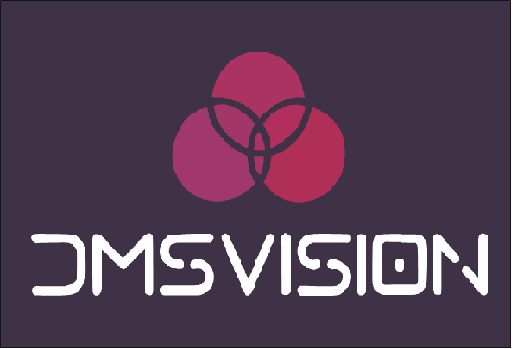Software Development - DMS Visions